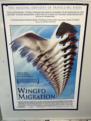 Original Movie Poster Winged Migration Double Sided 27x40 | eBay