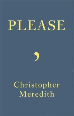 Christopher Meredith Please (Paperback) | eBay