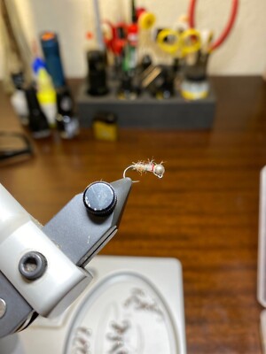 Six (6) Tailwater Sowbug size #16 3.2 mm tungsten bead. Euro sow bug ...