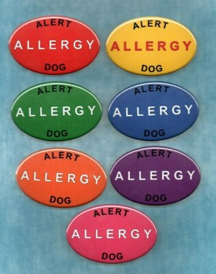 ALLERGY ALERT DOG - 7 colors - service dog vest button w/pin back | eBay