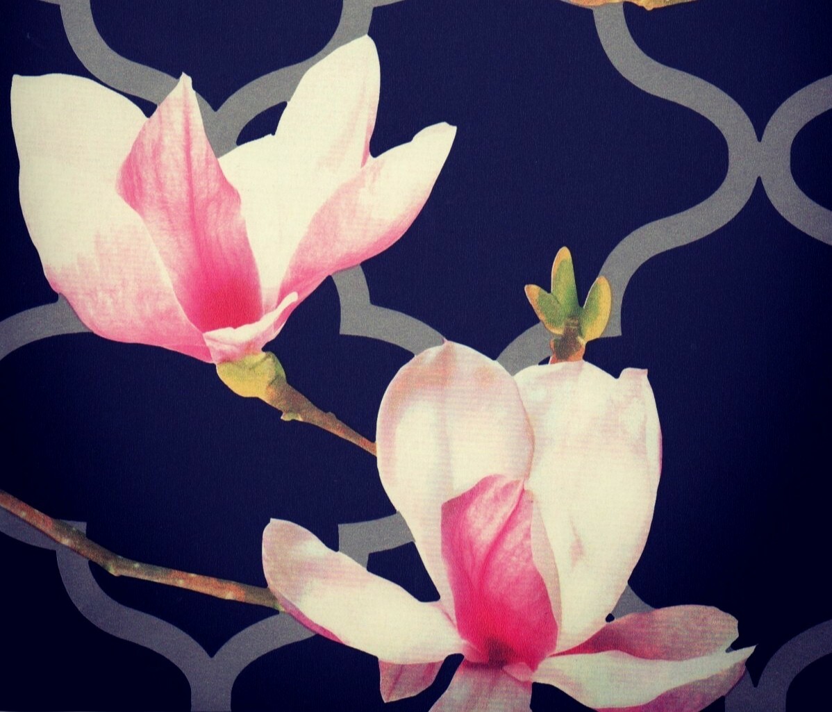 Magnolia Trellis | eBay UK