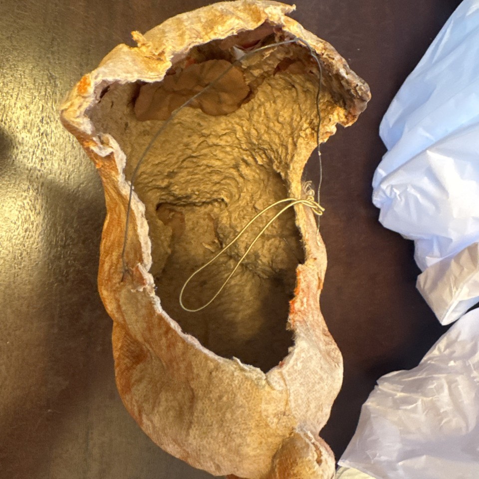 1930s Antique Vintage Halloween Burt Paper Mache Cat Jack-o-Lantern w ...