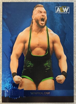 #132 WARDLOW 2022 SkyBox AEW Metal Universe BLUE HIGH NUMBER | eBay