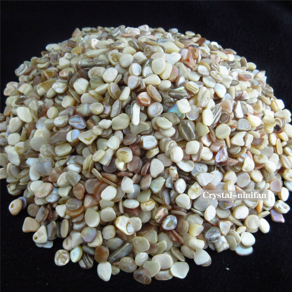 1/2lb Natural Conch Shell Mosaic Tiles Tumbled Crystal Bulk Chips Reiki ...