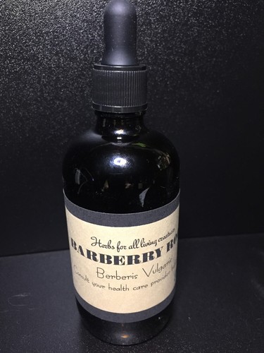 Barberry Root Tincture (Berberis Vulgaris) Apothecary Alternative ...