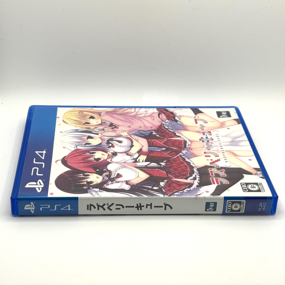 PS4 Raspberry Cube Sony PlayStation 4 Video Game Standard Edition | eBay