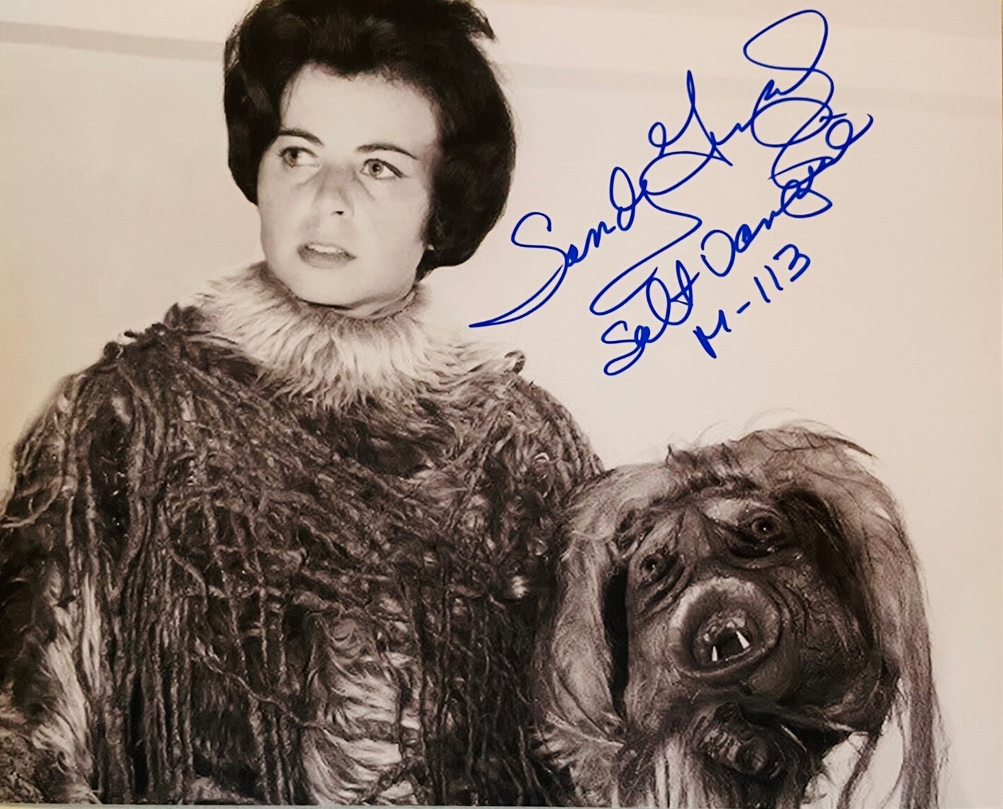 Sandra Lee Gimpel Star Trek TOS original autographed photo 8X10 #27 | eBay