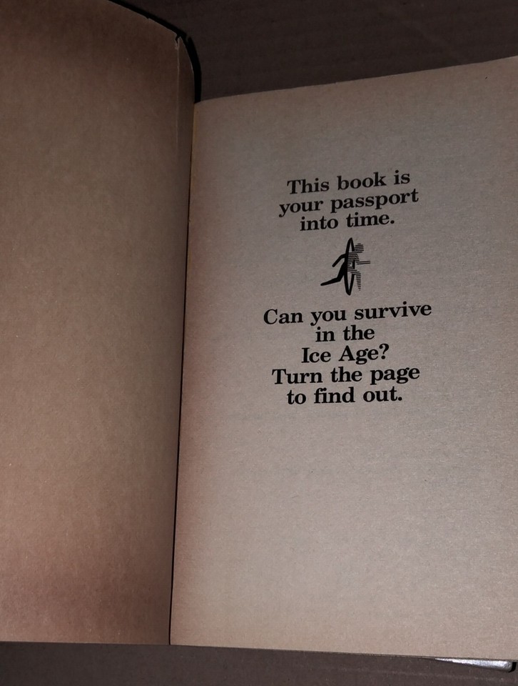 TIME MACHINE Choose Your Own Adventure x 15 BOOKS | eBay