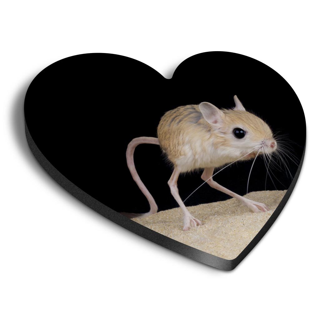 1x Heart Fridge MDF Magnet Jerboa Wild Mouse Mice Animal Cute #51257 ...