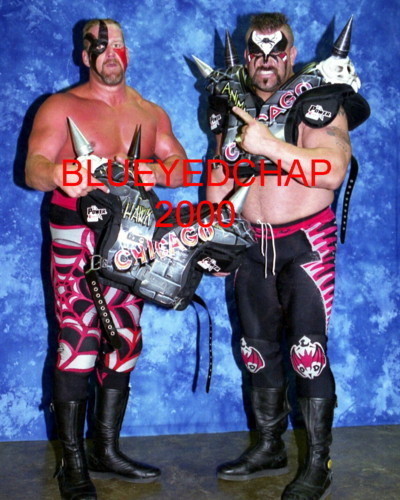 ROAD WARRIORS ANIMAL & HAWK WRESTLER 8 X 10 WRESTLING PHOTO WWF NWA AWA ...