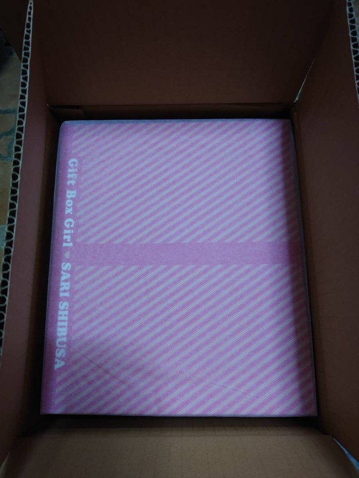 Gift Box Girl Sari Shibusa Michiking Illustrated 1/6 Figure Native New ...