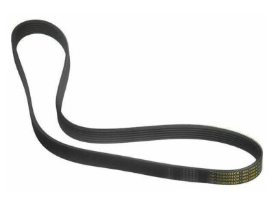 Multi Rib Belt For 20-23 Ford F450 Super Duty F-600 F250 F350 F550 6.7L ...