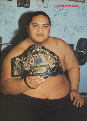 Yokozuna 7.5x10.5 Pro Wrestling Photo Magazine Page Wrestler WWE WWF ...