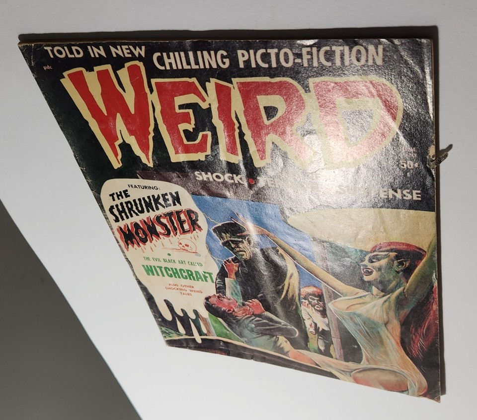 WEIRD MAGAZINE Vol. 4 # 3 June 1970 EERIE PUBLICATIONS Carl Burgos | eBay