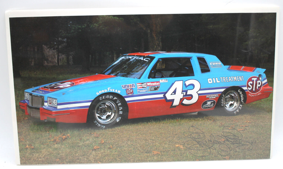 Richard Petty The King NASCAR #43 STP Diecast Collection 1/24 Diecast ...