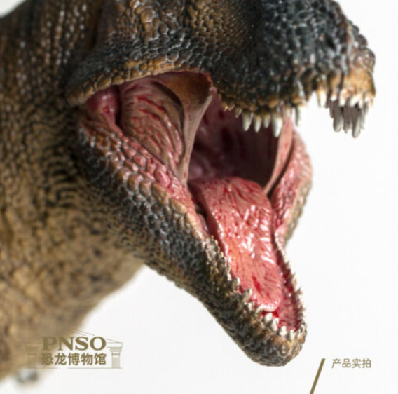PNSO 1/35 Tyrannosaurus Rex Wilson Figure Dinosaurs Museum Scientific ...