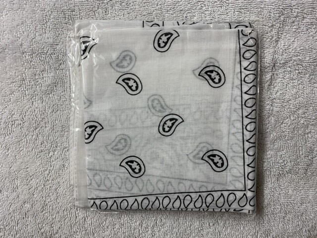White Raylarnia Paisley Cowboy Bandana Cotton 22 x 22 inch - Ships Same ...
