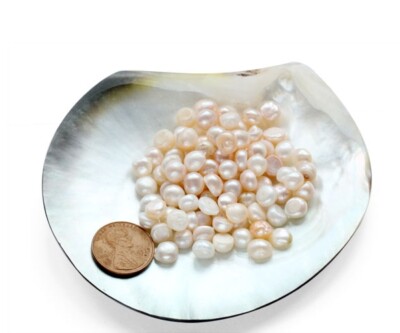 5-6mm Natural Untreated Loose Button Pearls Sold by Ounce | eBay