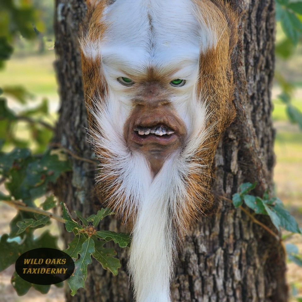 Assquatch Sasquatch Butt Monkey Swamp Booger Whitetail Deer Tail ...