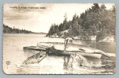 Fishing Exaggeration PENETANGUISHENE Ontario RPPC Hotel Brule Vintage ...