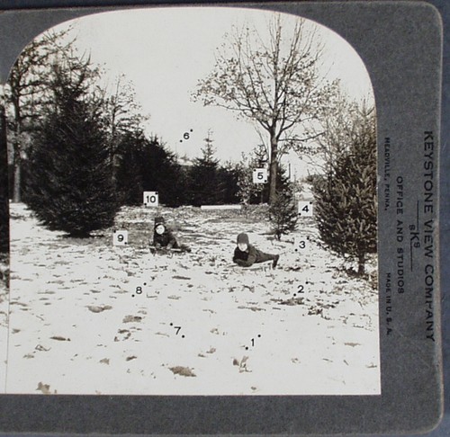 VINTAGE STEREOVIEW THE LAST SNOWFALL, KEYSTONE EYE SKILL TRAINING ...