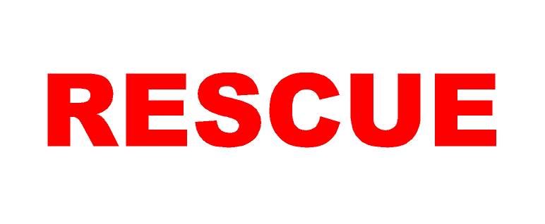 RESCUE Lettering Placard Vinyl Decal Sticker Body Window Glass Fire ...