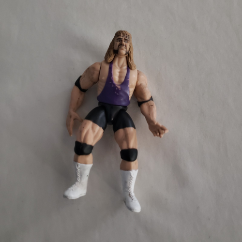 JAKKS WWE AL SNOW WRESTLING ACTION FIGURE 1996 UFC WWF WCW ECW TNA | eBay