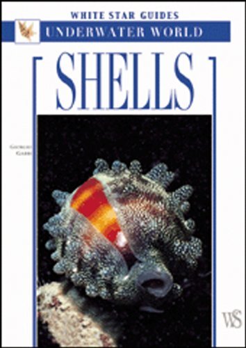 Shells (White Star Guides) by Gabbi, Giorgio Paperback / softback Book ...