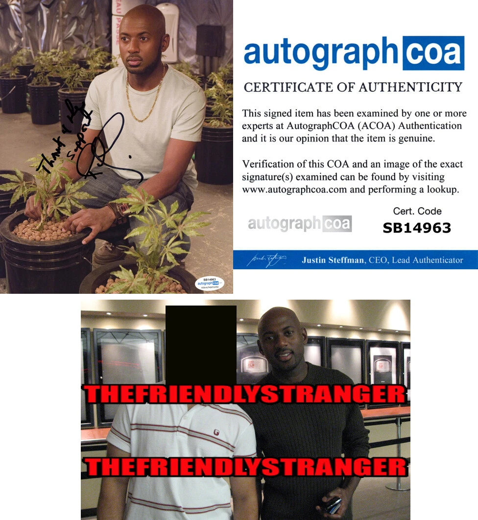 Romany Malco Weeds