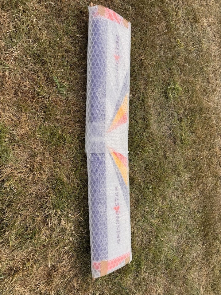 Arising Star RC plane | eBay UK