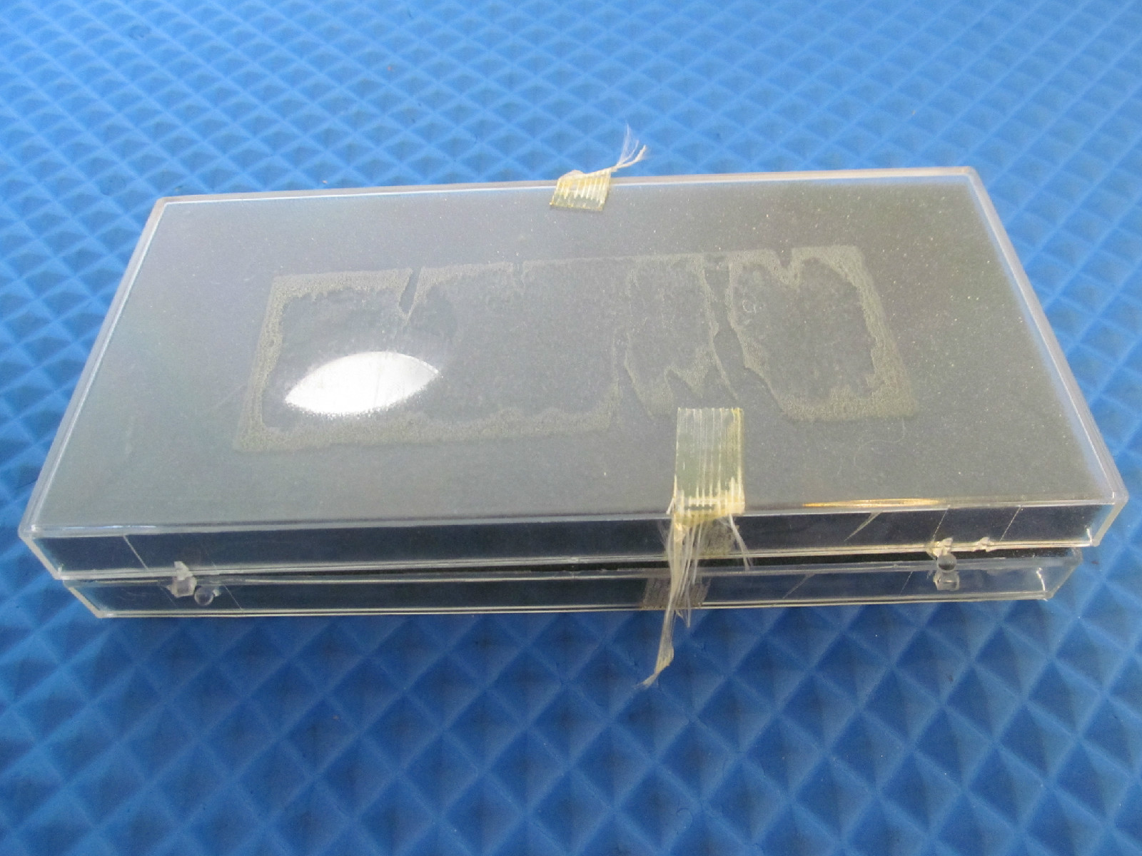 NIB Fike Rupture Disc POLY-SD 1.50" 186.67 PSIG 192.27 PSIG Free ...