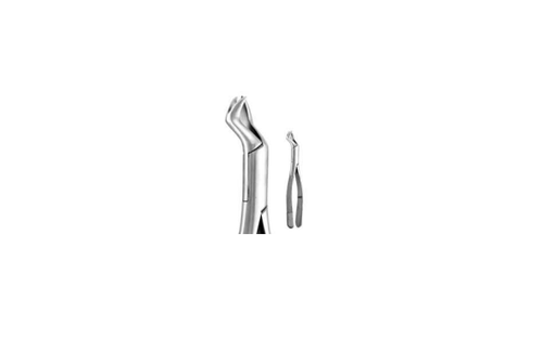 GDC Dental Extraction Forcep First & Second Upper Molar Teeth Left F88L ...