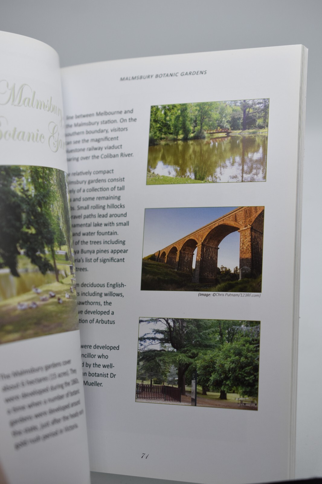 Gardens & Birds of the Macedon Ranges Rosemary Davies Ron Weste PB 2019 ...