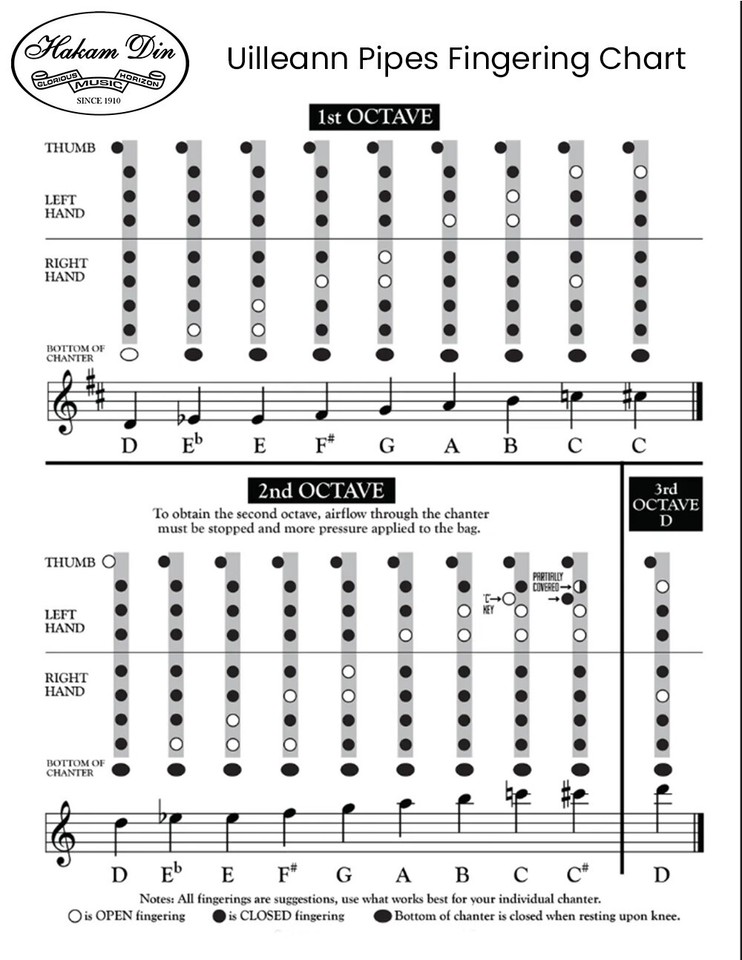 Uilleann Pipes in D - Half Set with 4 Key Chanter and Nickle Metalwork ...