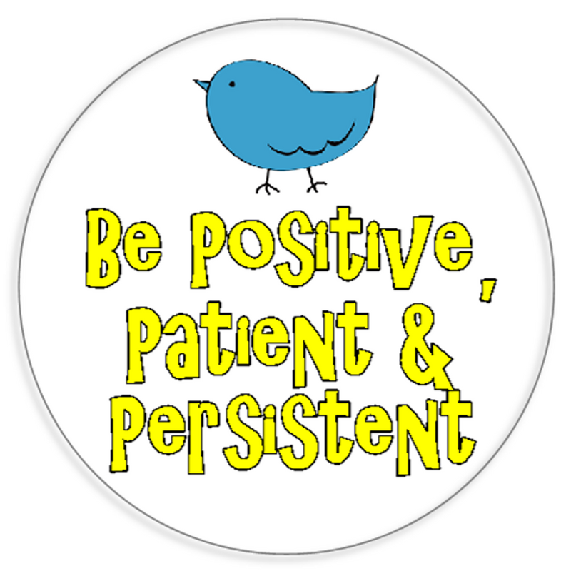 Be Positive, Patient and Persistent - 25 Pack Circle Stickers 3 Inch | eBay