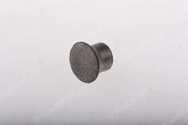 BMW Stanzniet N5 83192158079 online kaufen | eBay