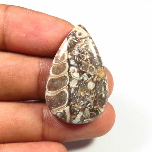 Fait à la Main Poire Turtella Uni Cabochon Naturel Marron Gemmes ...