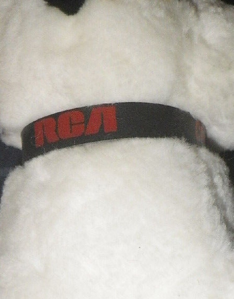 VINTAGE PLUSH NIPPER'S CHIPPER The RCA Mascot Dog | eBay