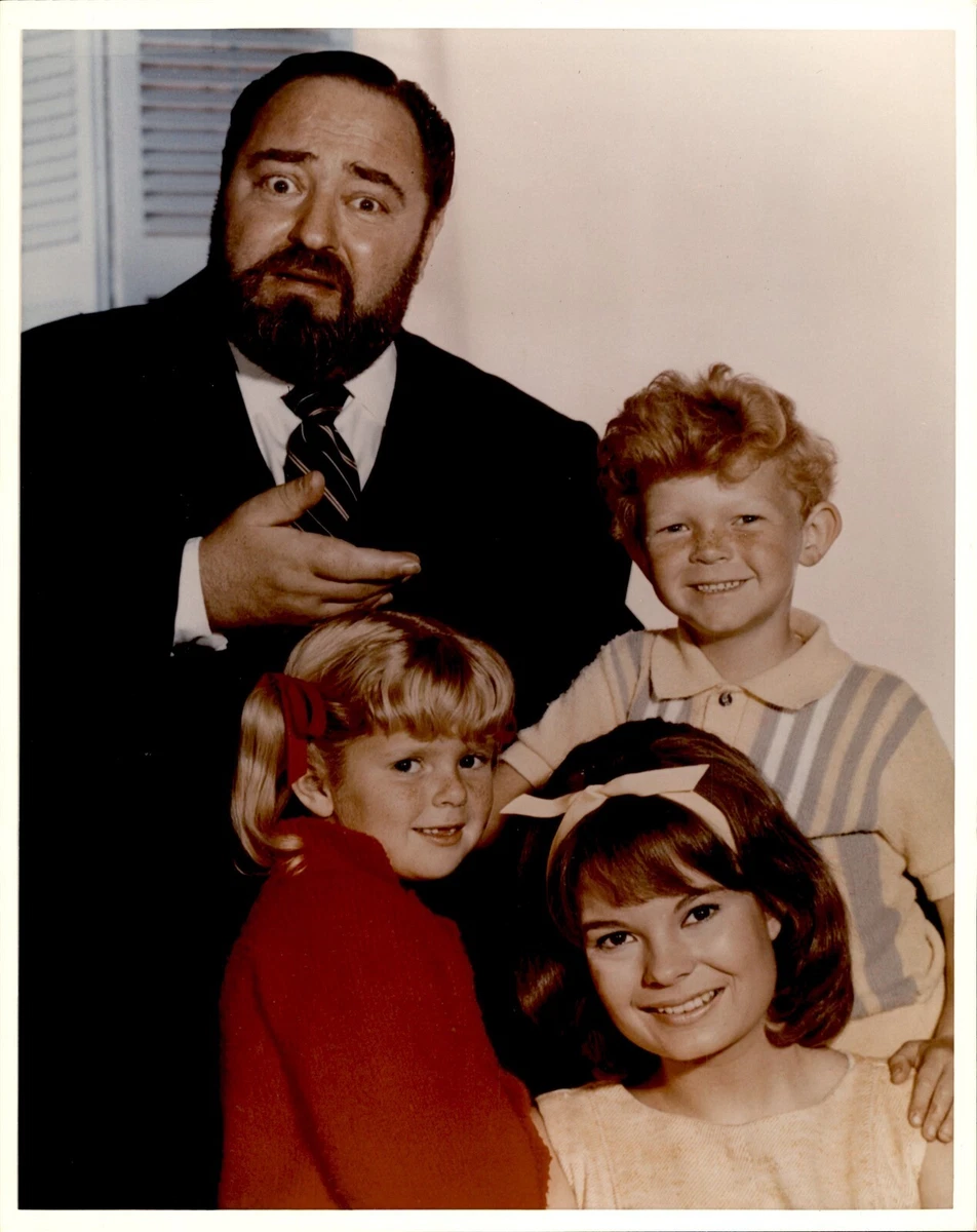 Sebastian Cabot Family Affair