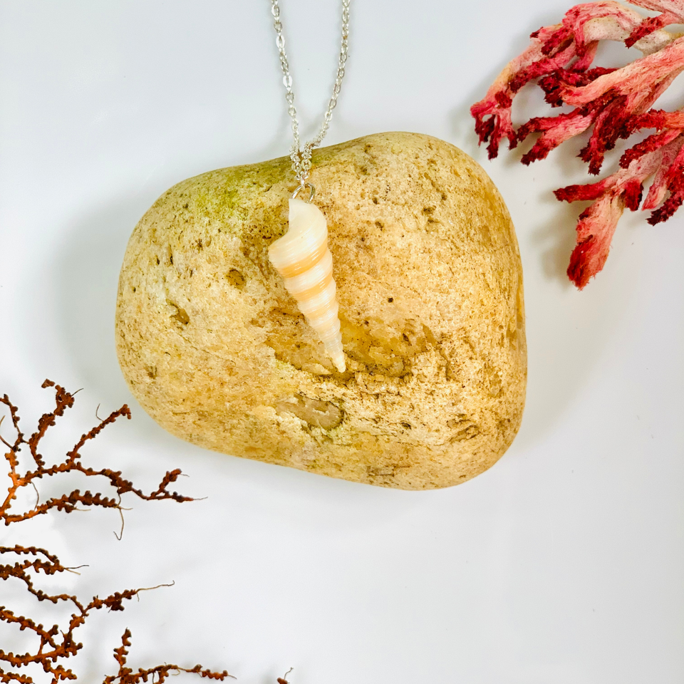 Natural Turritella Communis Shell (Tower Shell) Necklace | eBay