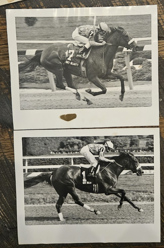 Original Track/Press Photos - Sky Beauty, 1994 Ruffian, 1992 Adirondack ...