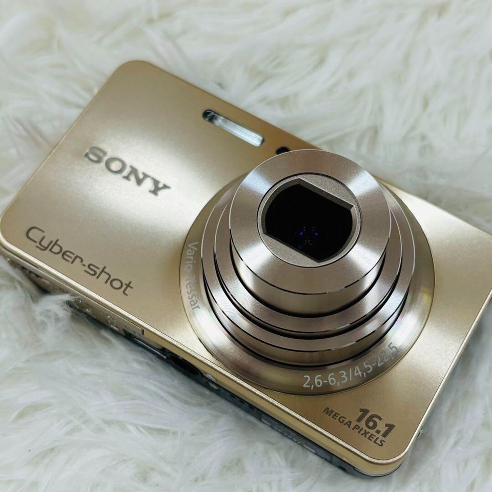 Sony Cyber-Shot DSC-W570 16MP 5x Zoom HD Video Digital Camera English ...