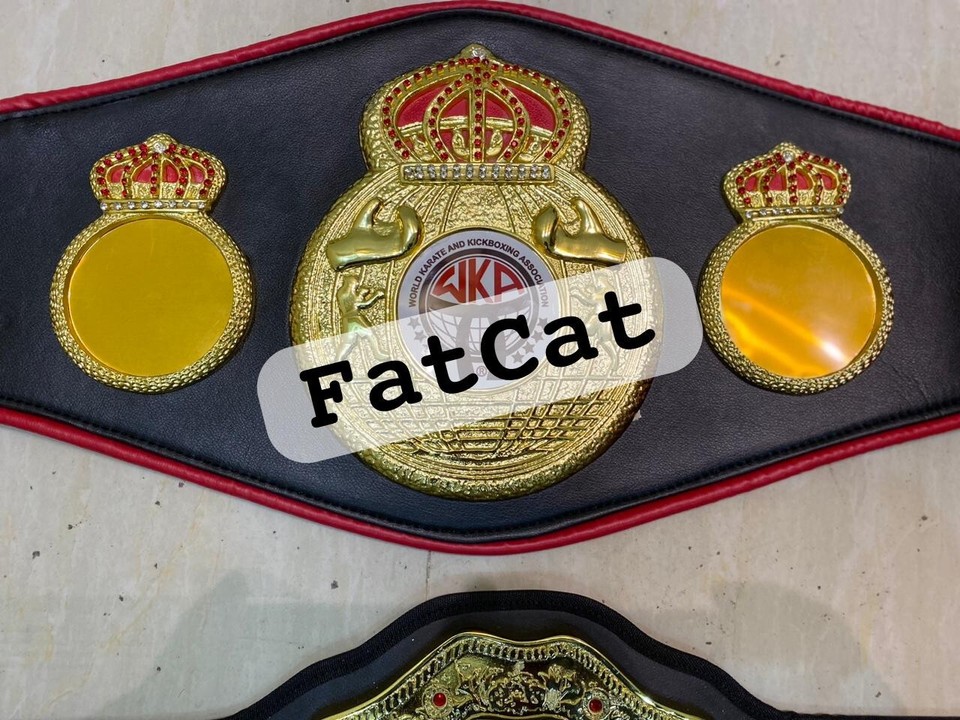 WKA & Ju-jitsu 2023 World Karate Kick Boxing Championship boxing Belt 2 ...