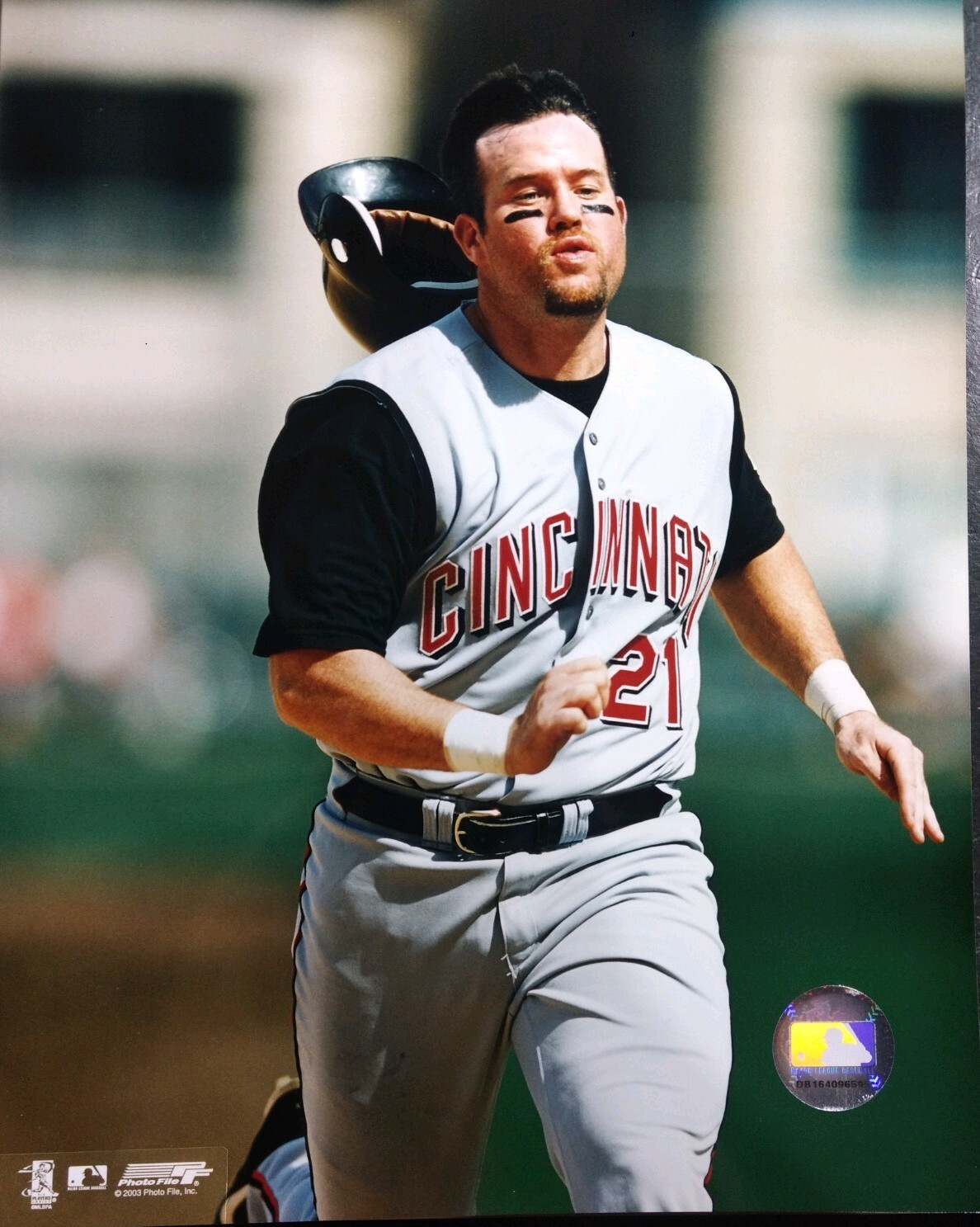 SEAN CASEY Cincinnati Reds 8x10 Action Photo CINCINNATI REDS | eBay
