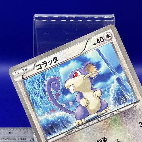 Rattata Pokemon Card 1st Ed 2012 040/051 BW8 Nintendo TCG Japanese ...