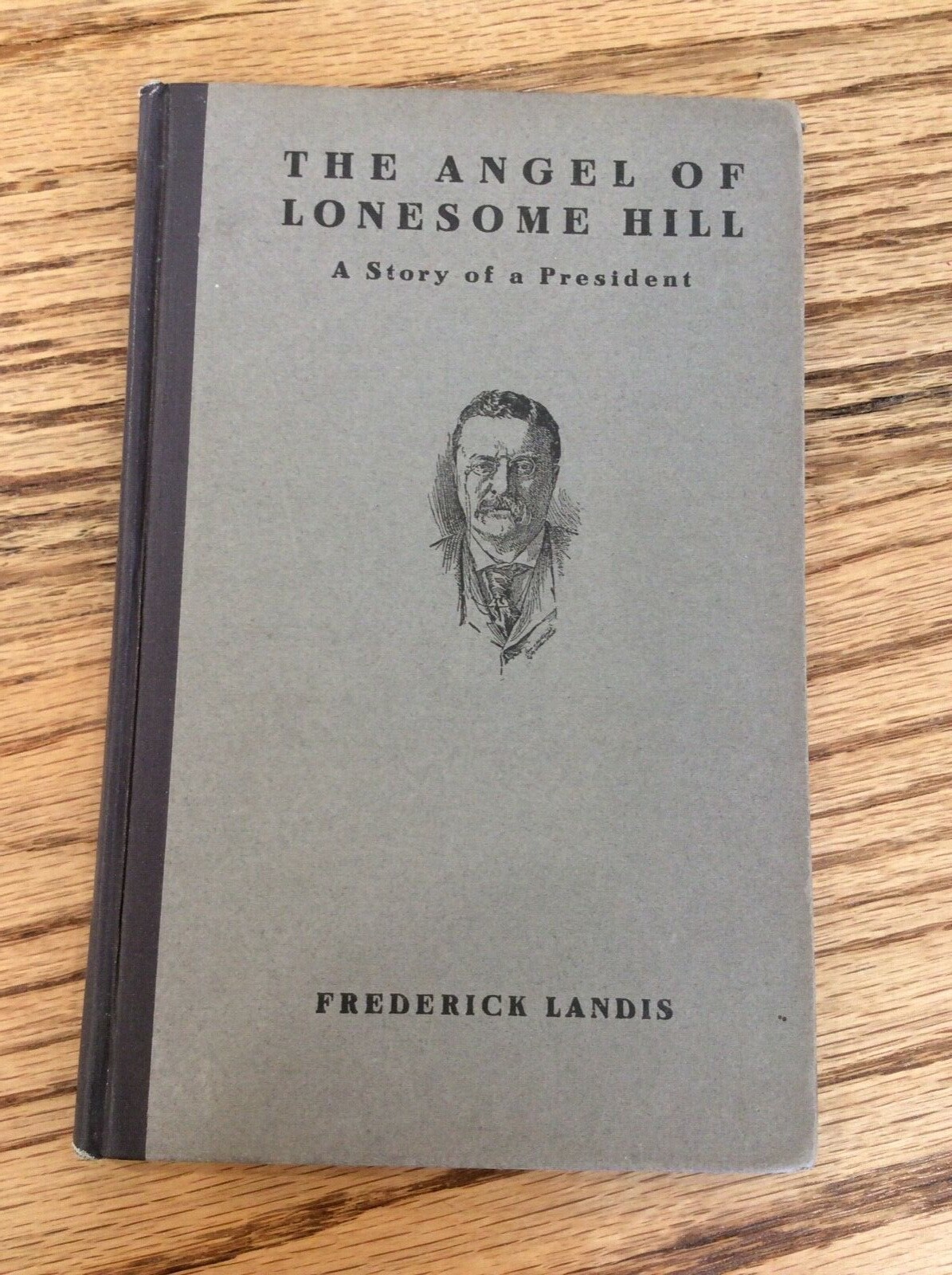 1910 The Angel of Lonesome Hill A Story of a President By Frederick ...