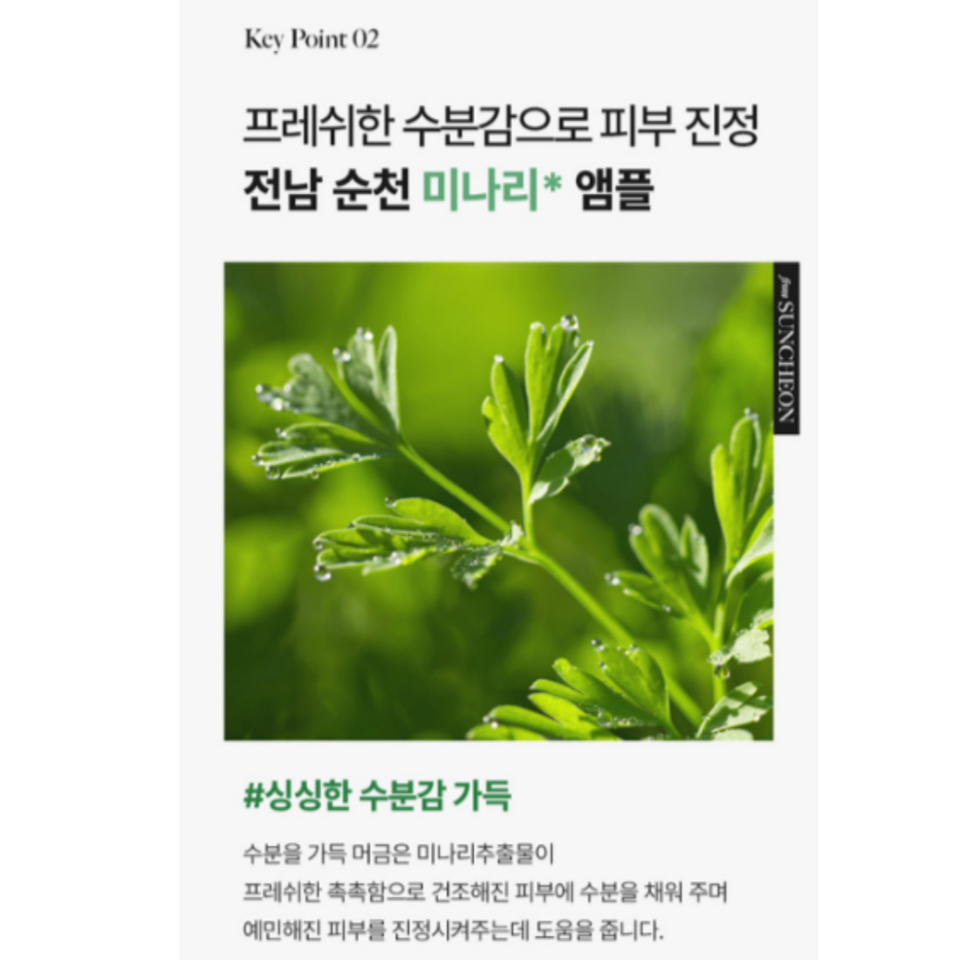 [the SAEM Vegan]Drop BE_Hydrating Water Parsley Ampoule + White Truffle ...