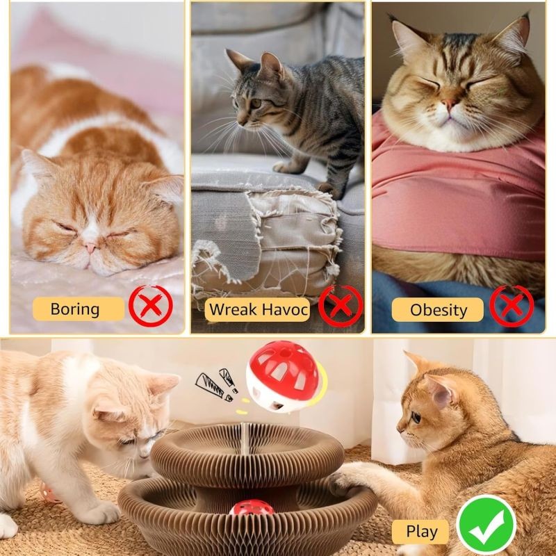 Accordion Magic Organ Cat Scratching Board Toy Kitty Kurlz Ball Scratch ...