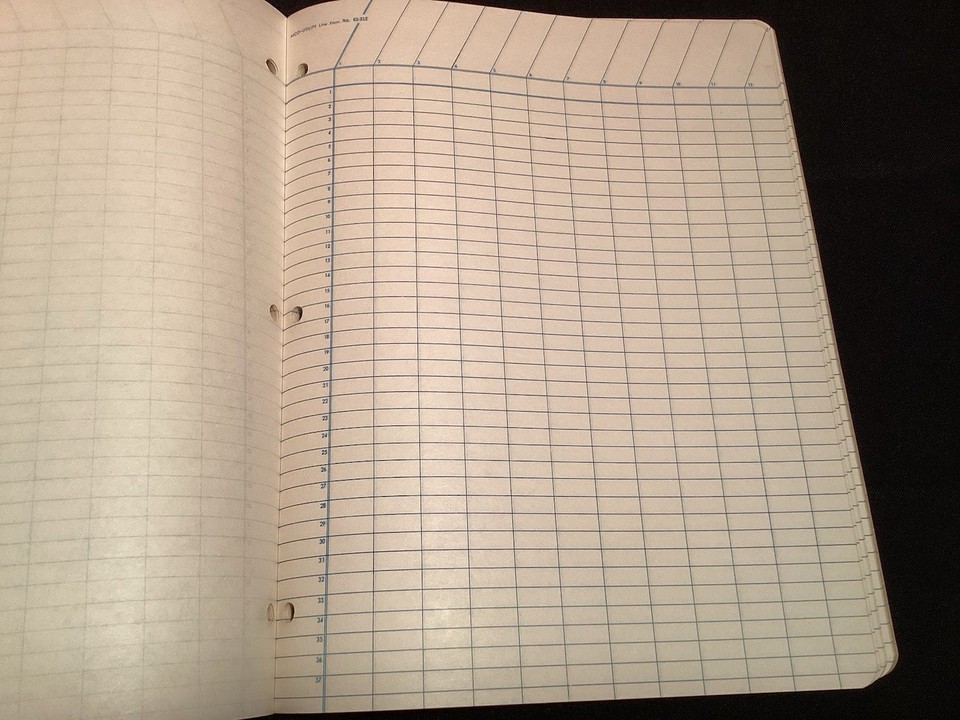 Aico Tally Sheets Columnar Pad 12 Columns 8.5 x 11 White, 50 Sheets ...