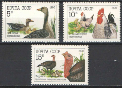 USSR / Soviet Union 1990. Farm Animals / birds, chicken nice set MNH ...